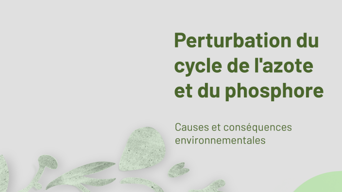 Perturbation du cycle de l'azote et du phosphore by Noémie Boleis on Prezi
