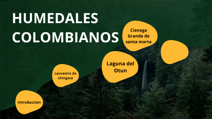 humedales colombianos by neila jimenez barros on Prezi