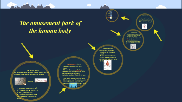 The Human Body Theme Park by Jaylen Williams on Prezi