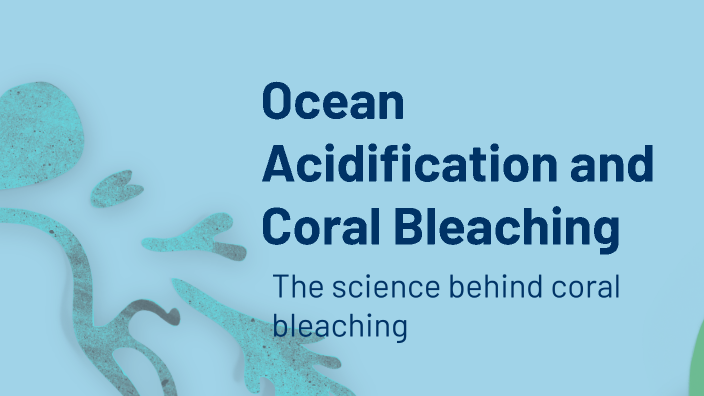 Ocean Acidification and Coral Bleaching by Aina Chen on Prezi