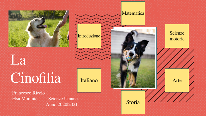 La cinofilia by Maria Cirone on Prezi