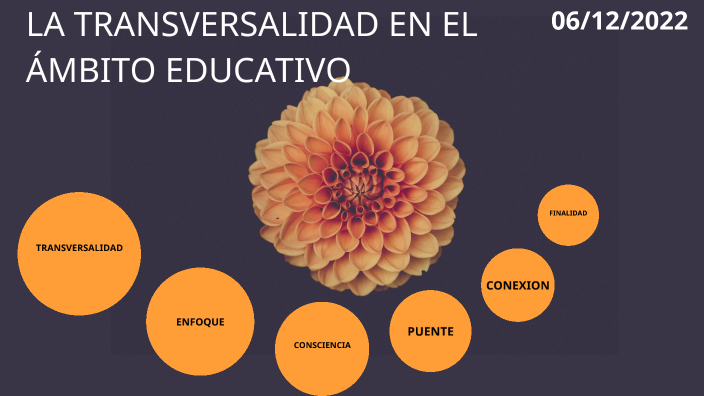 LA TRANSVERSALIDAD EN EL ÁMBITO EDUCATIVO by Alicia Ramirez on Prezi
