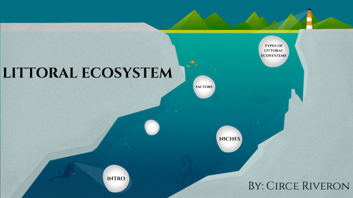 Littoral Ecosystem by Circe Sanchez Riveron on Prezi
