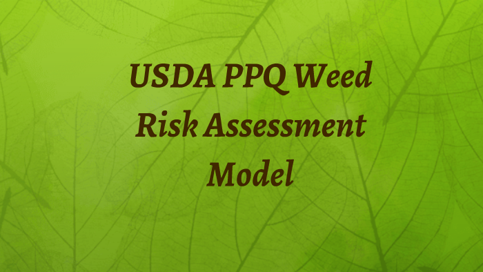 USDA PPQ Weed Risk Assessments by Cecilia Weibert on Prezi
