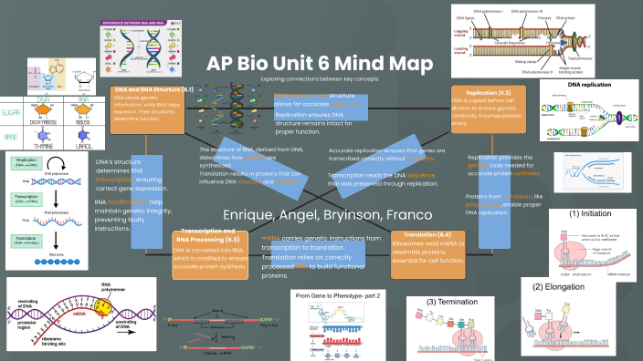 Unit 6 mind map AP Biology by Enrique Jimenez on Prezi