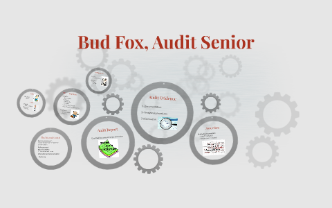 Bud Fox, Audit Senior by Mido Ahmed