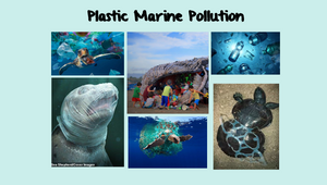 Plastic Marine Pollution by Tamara DeVore on Prezi Design