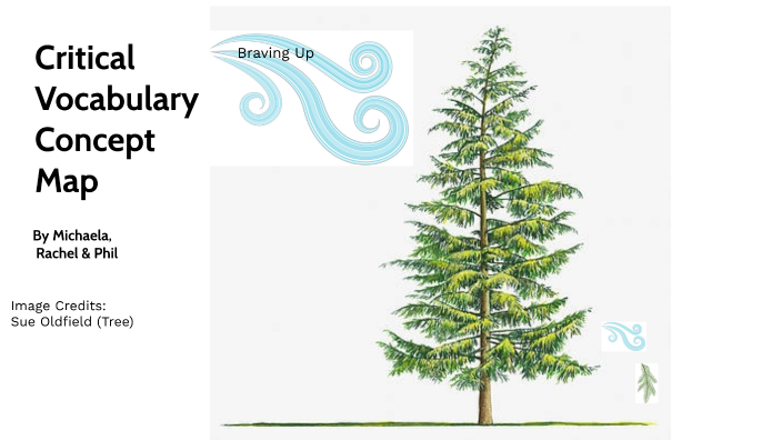 Critical Vocabulary Concept Map by Rachel Levy on Prezi