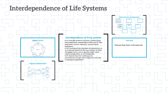 Interdependence of Life Systems by destiny rodriguez