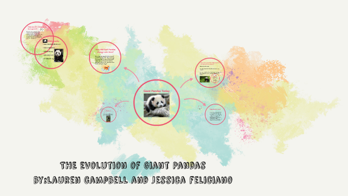 Evolution of Giant Pandas by Jessica Feliciano on Prezi