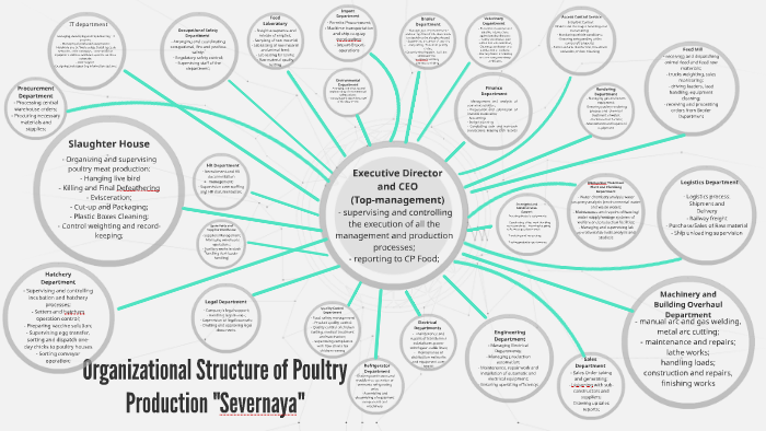 Organizational Structure of Poultry Production "Severnaya" by Руслана ...