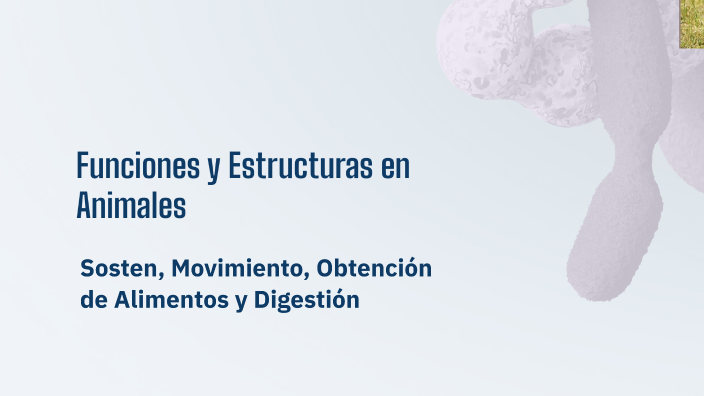 Funciones y Estructuras en Animales by Enrique Siliezar Urriola on Prezi