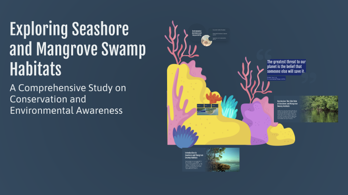 Exploring Seashore and Mangrove Swamp Habitats by Maria Salvacion ...