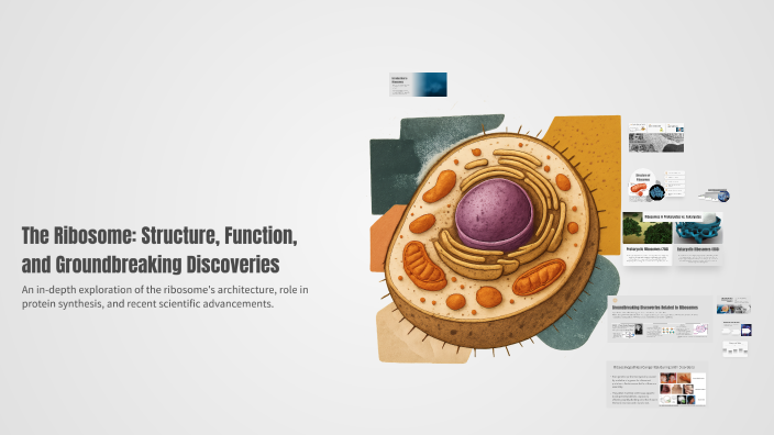The Ribosome: Structure, Function, and Groundbreaking Discoveries by ...