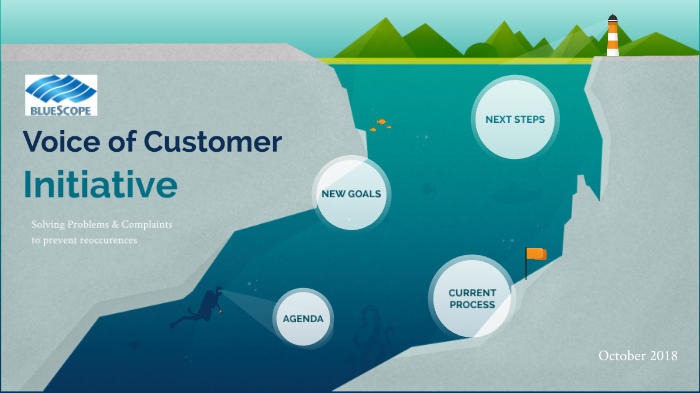 Voice of Customer Initiative by Annette Arzoumanian on Prezi