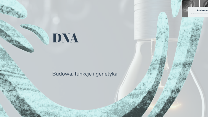 DNA: Budowa i funkcje by Parówa Berlin on Prezi