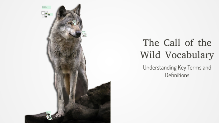 The Call of the Wild Vocabulary by David Anjema on Prezi