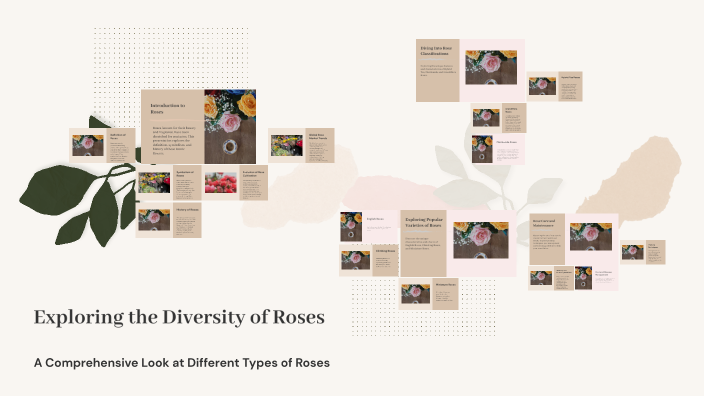Exploring the Diversity of Roses by Sitti Raina A. Nurani on Prezi