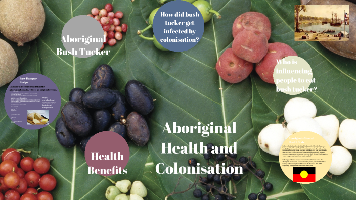 Aboriginal Colonisation Health by Maggie Oliphant on Prezi