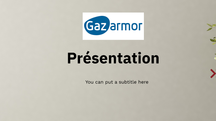 Présentation by Enzo TOUDIC on Prezi