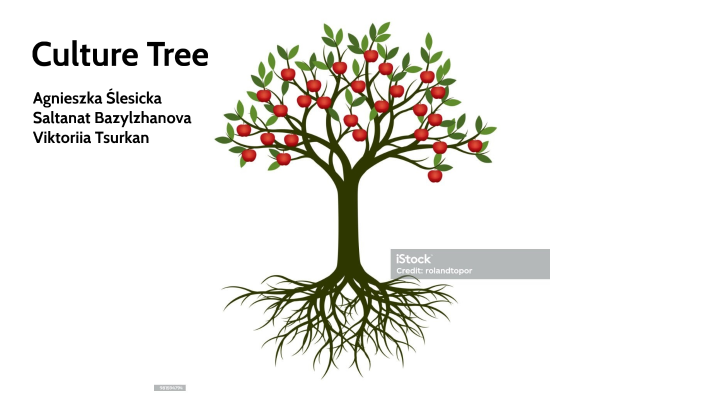 Culture Tree by Saltanat Bazylzhanova on Prezi
