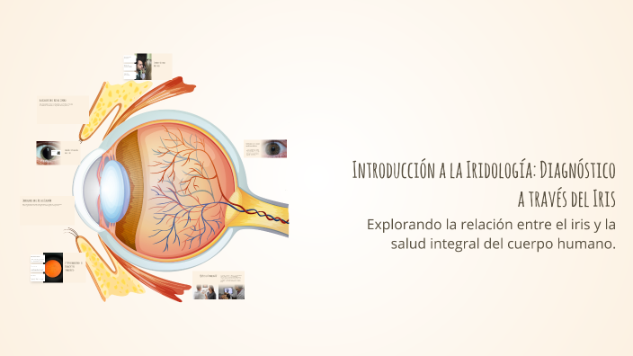 Introducción a la Iridología: Diagnóstico a través del Iris by Adriana ...