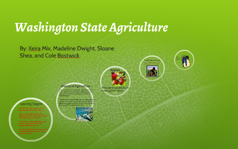 Washington State Agriculture by Madeline Dwight on Prezi