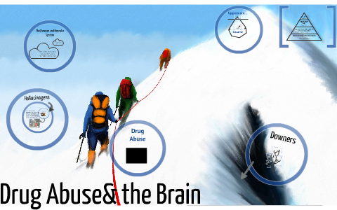 Drugs and the Brain by Alexandra Ellison on Prezi