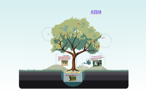 Azijos gamta by Tadas Tumas on Prezi
