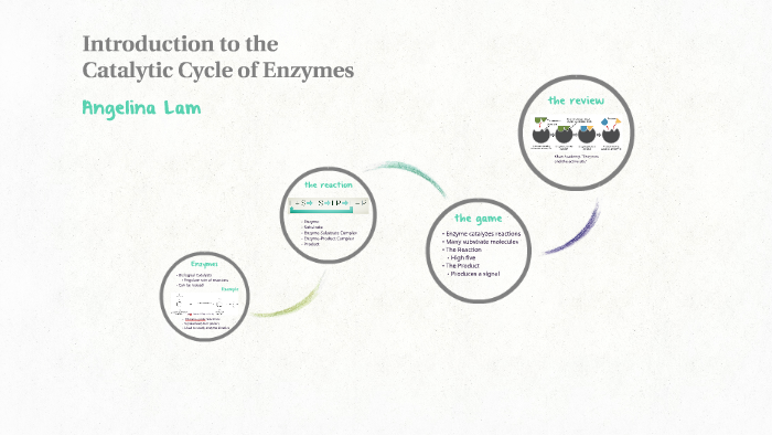 Introduction to Catalytic Cycle of Enzymes by on Prezi