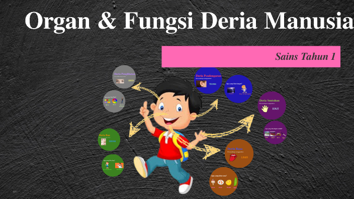 Deria Manusia Sains Tahun 1 by Tan Kai Yen on Prezi
