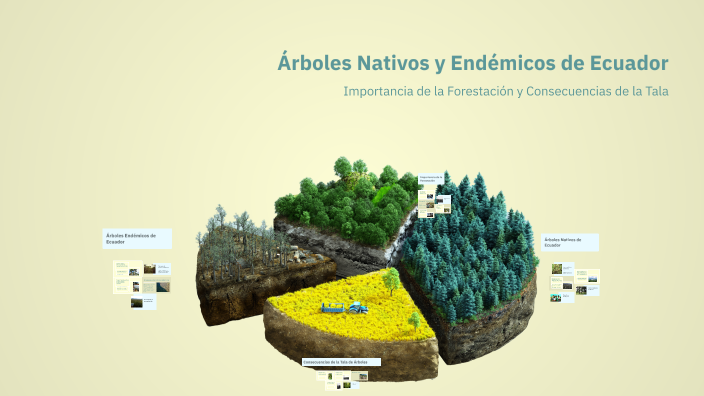 Árboles Nativos y Endémicos de Ecuador by Mayra Tatés on Prezi