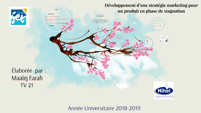 presentation de rapport by farah maalej on Prezi