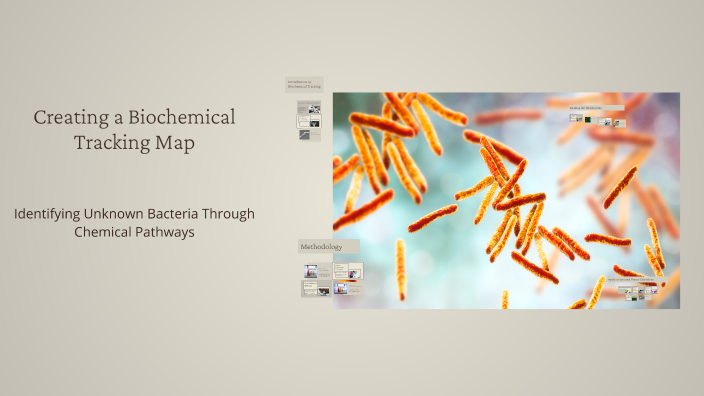 Creating a Biochemical Tracking Map by Randy Lewis on Prezi
