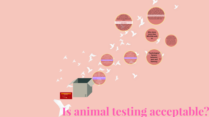Is Animal Testing Acceptable by Angelina Fiasco on Prezi
