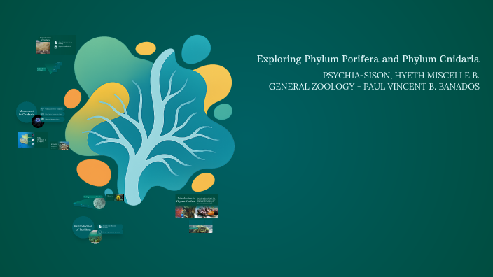 Exploring Phylum Porifera and Phylum Cnidaria: A Journey Through Early ...