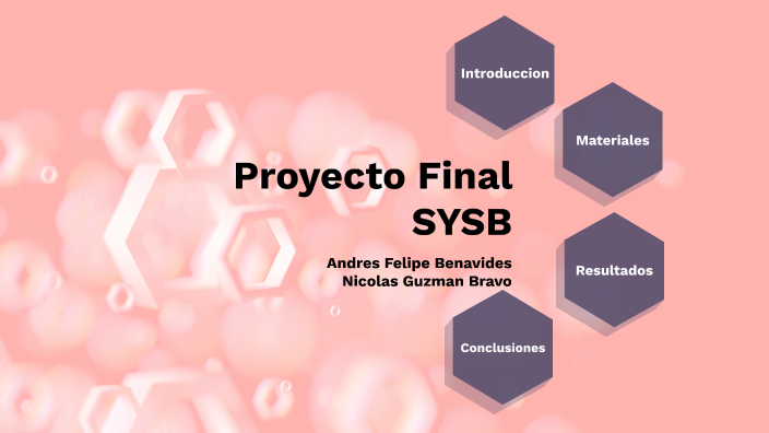 SYSB FIN by NICOLAS GUZMAN BRAVO on Prezi