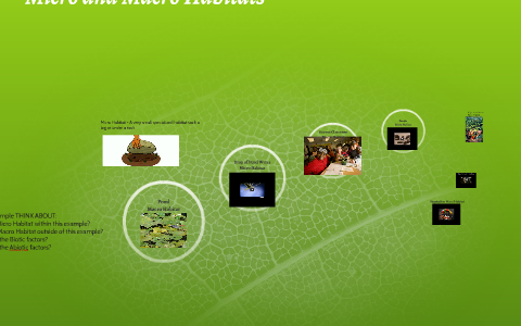 Micro and Macro Habitats by beth muyskens on Prezi