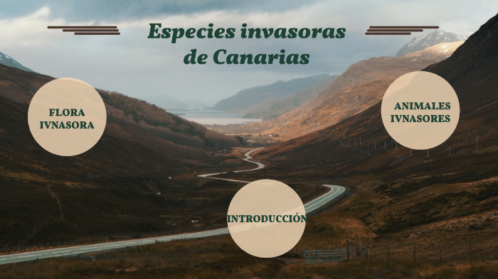 esp inv de can by cova Sanchez on Prezi