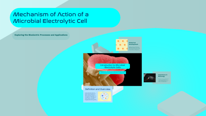 Mechanism of Action of a Microbial Electrolytic Cell by Rimjhim Sharma ...