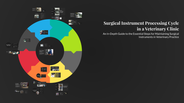 Surgical Instrument Processing Cycle in a Veterinary Clinic by Shelby ...