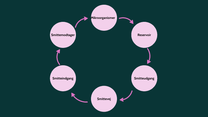 Smittekæde by Frederik Kiddegaard on Prezi