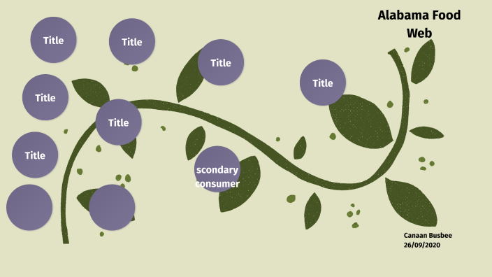 Alabama Food Web Project by Canaan Busbee on Prezi