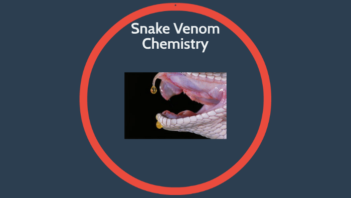Snake Venom Chemistry by lukas langford