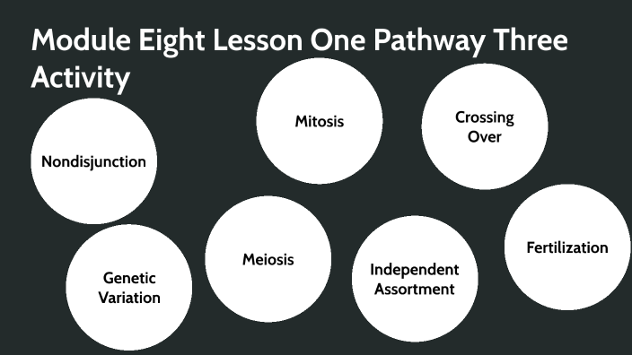 Module Eight Lesson One Pathway Three Activity by Kaitlyn Hubbard on Prezi