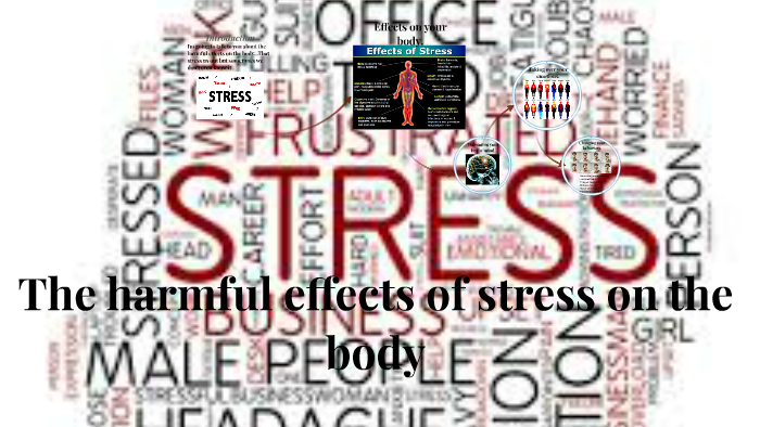 The harmful effects of stress on the body by jennfer marte on Prezi
