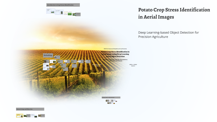 Potato Crop Stress Identification in Aerial Images by Rodel Pompa on Prezi