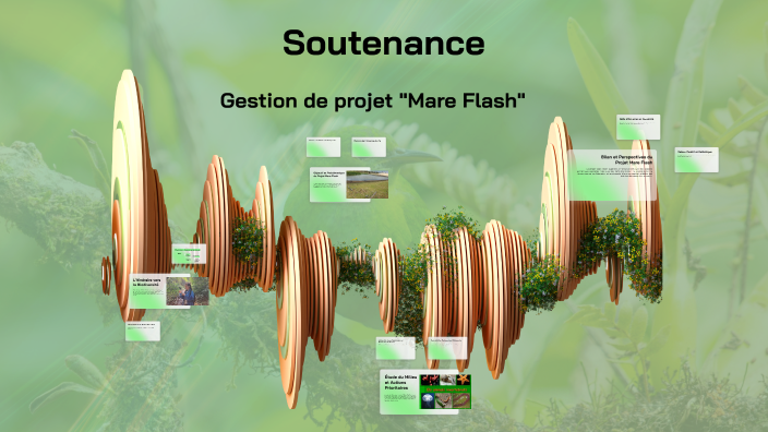 Soutenance by Mona Beaida on Prezi