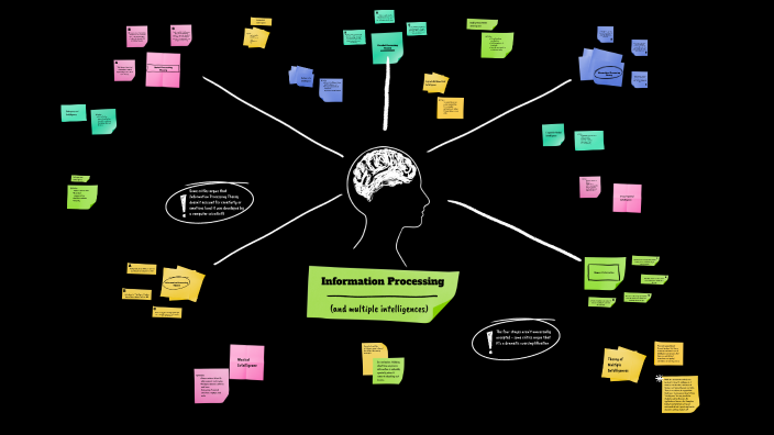 WK2 Reading Response - Information Processing and Multiple ...