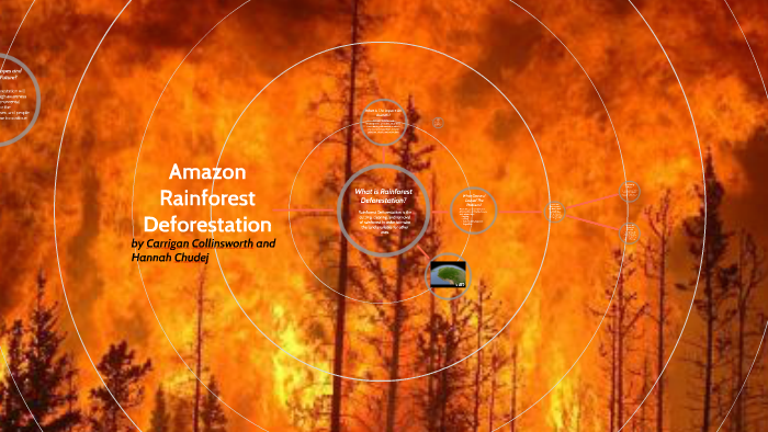 Amazon Rainforest Deforestation by Hannah Chudej on Prezi